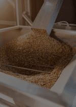 Sluice Room Equipment – Basterfield